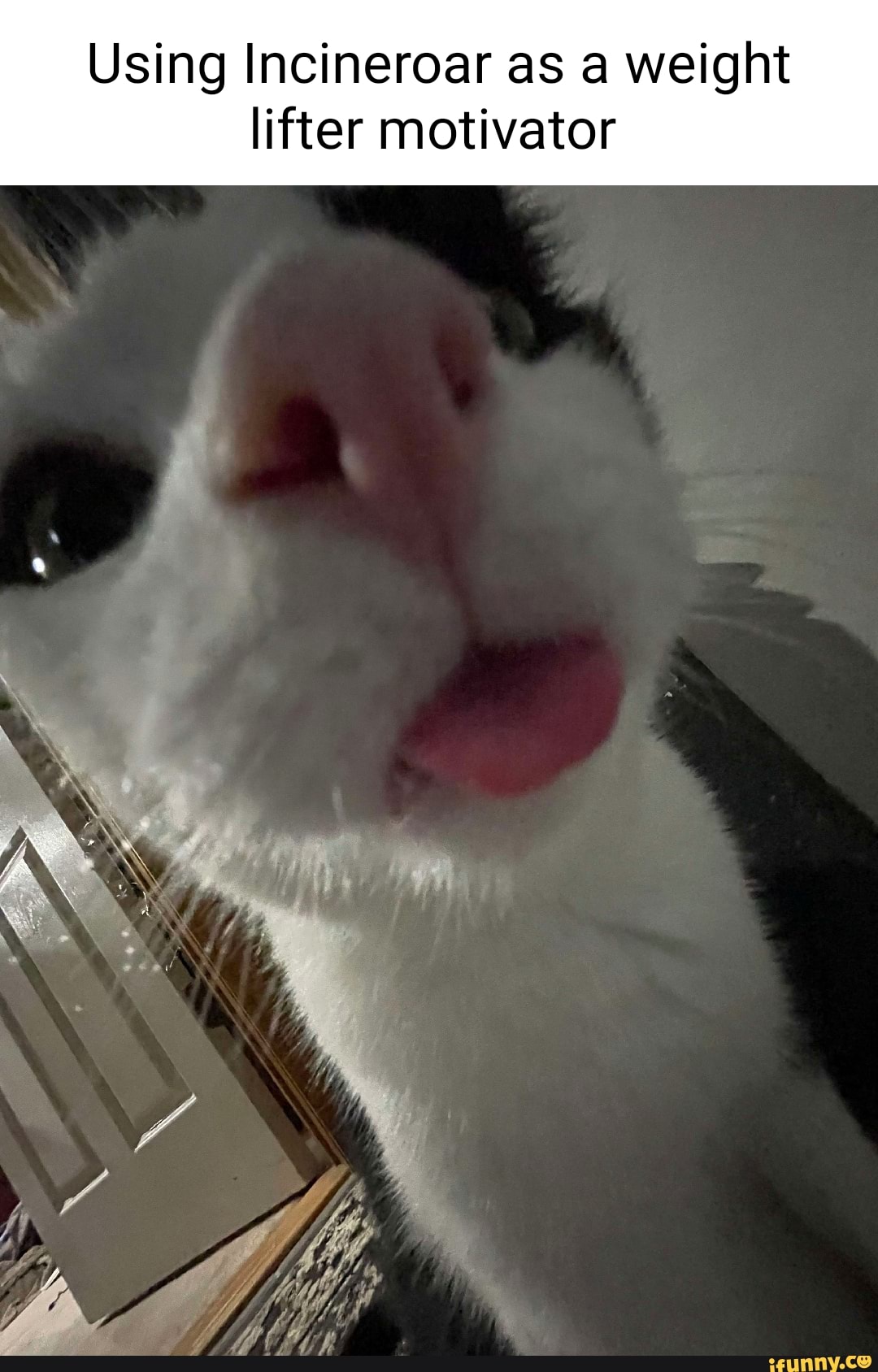 Incineroar memes. Best Collection of funny Incineroar pictures on iFunny