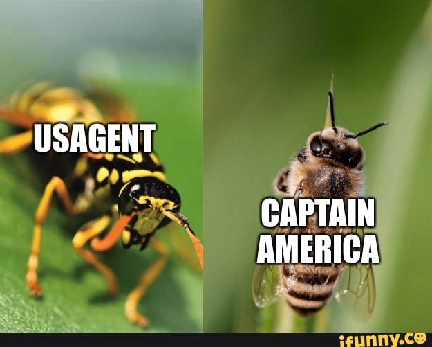 Usagent memes. Best Collection of funny Usagent pictures on iFunny