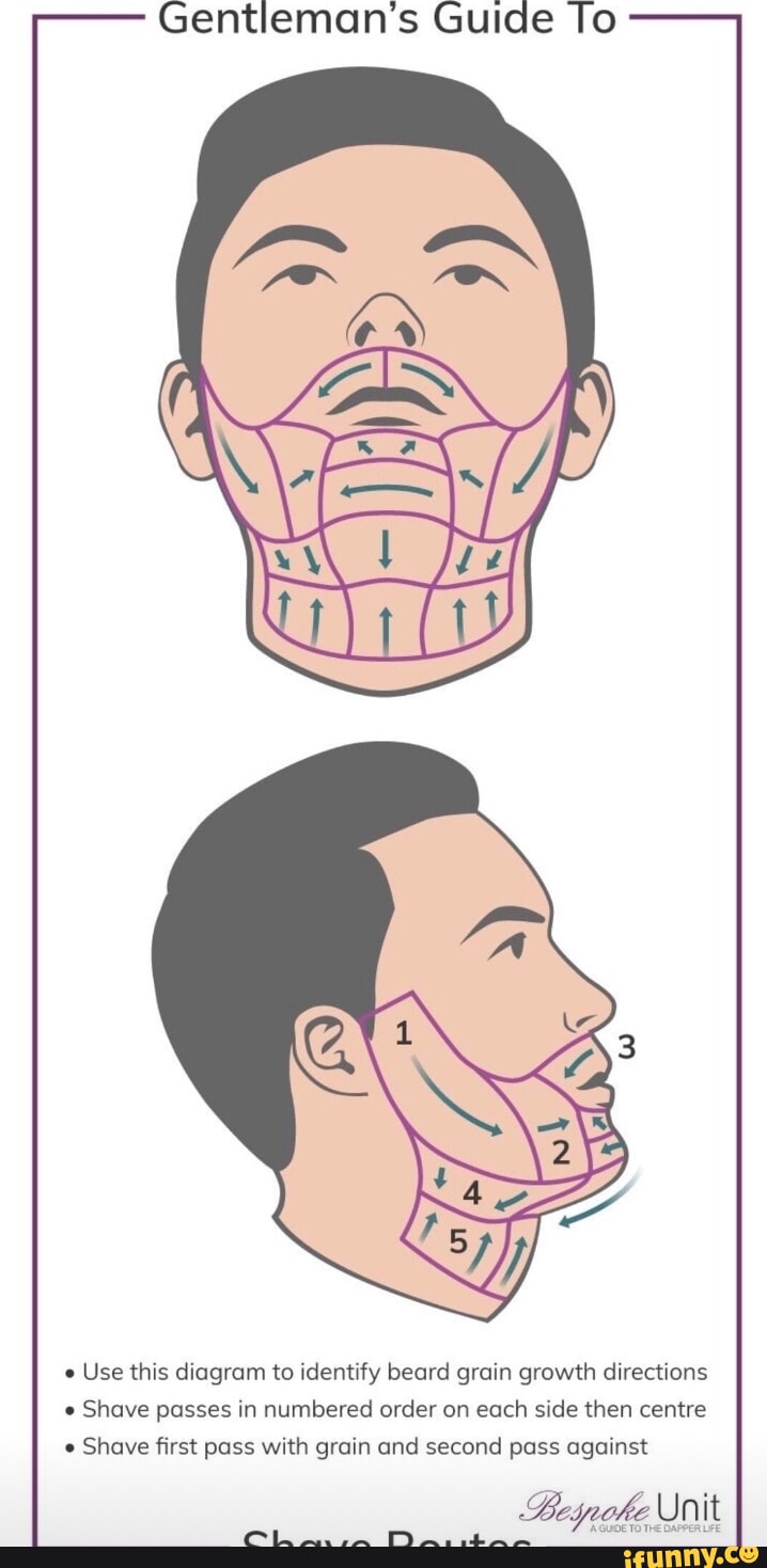 Gentleman's Guide To Use this diagram to identify beard grain growth ...
