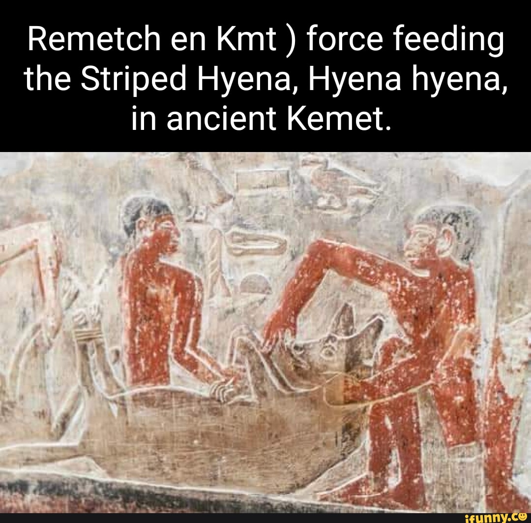 Kmt memes. Best Collection of funny Kmt pictures on iFunny