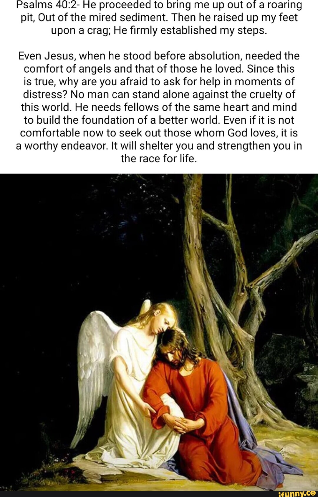 Sediment memes. Best Collection of funny Sediment pictures on iFunny