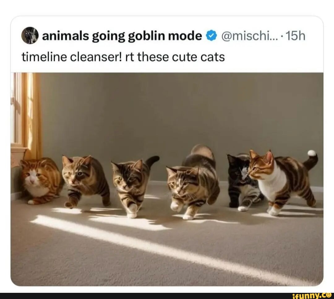 Animals going goblin mode @mischi...- timeline cleanser! rt these cute ...