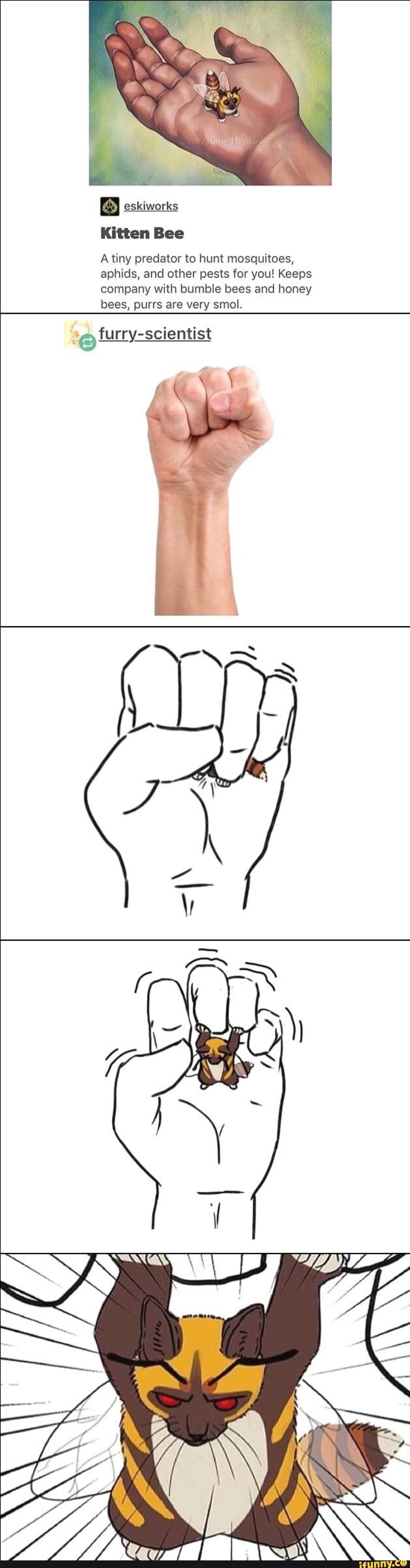 A tiny predator to hunt mosquitoes, aphids, and other pests for you ...