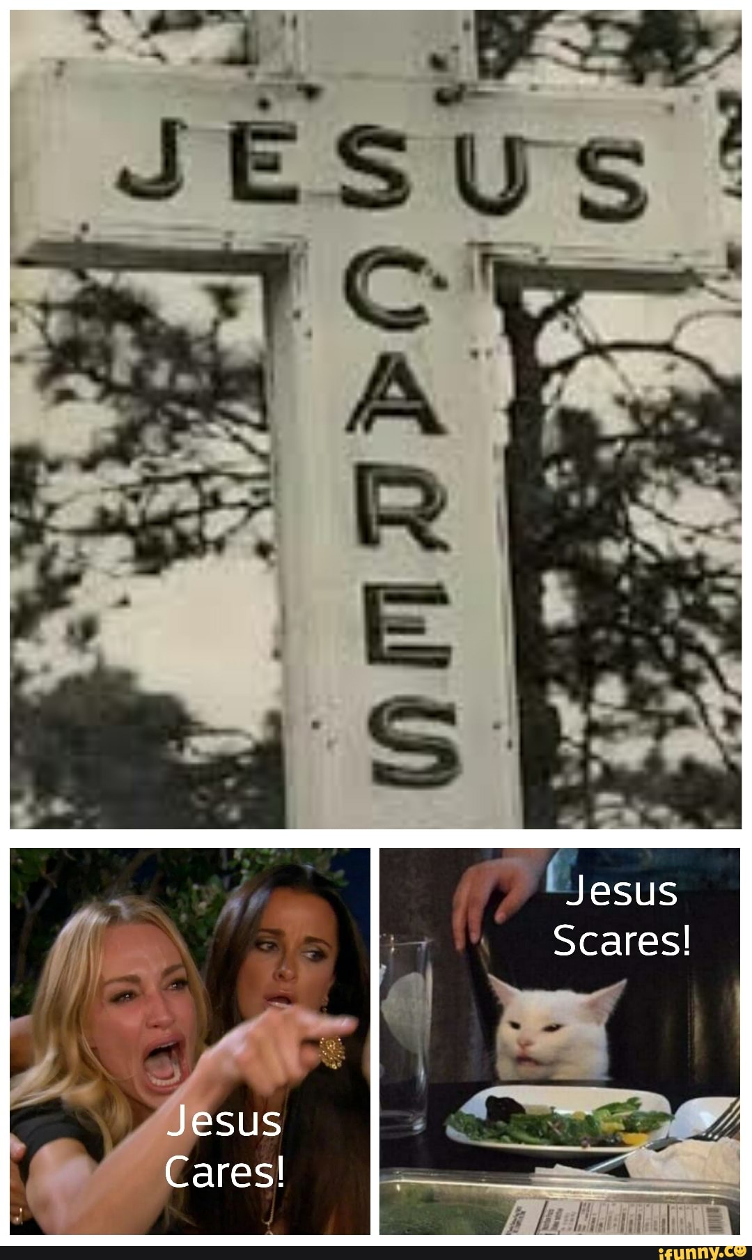 Yellingatcatmeme memes. Best Collection of funny Yellingatcatmeme ...