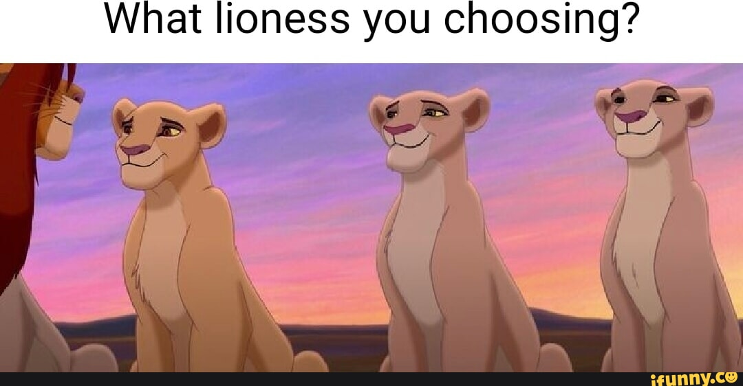 Lioness memes. Best Collection of funny Lioness pictures on iFunny