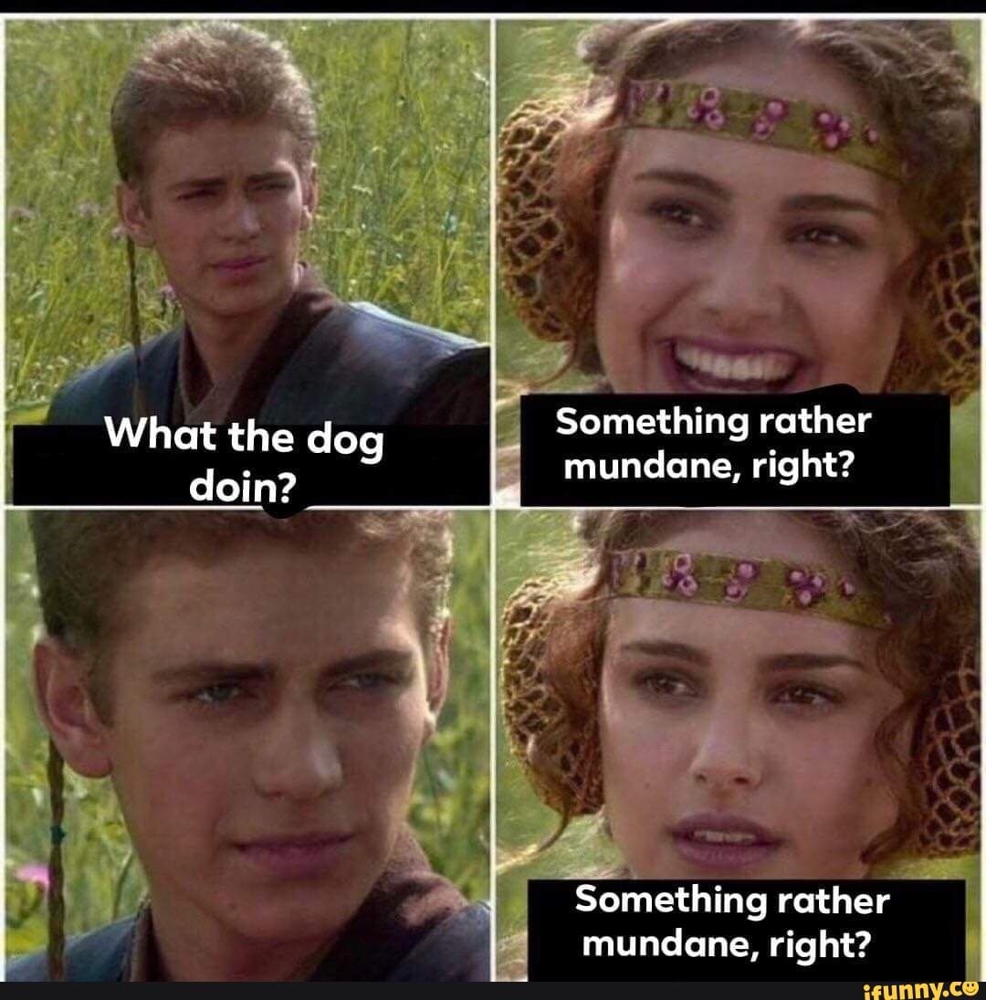 What the dog doin? Something rather mundane, right? Something rather ...