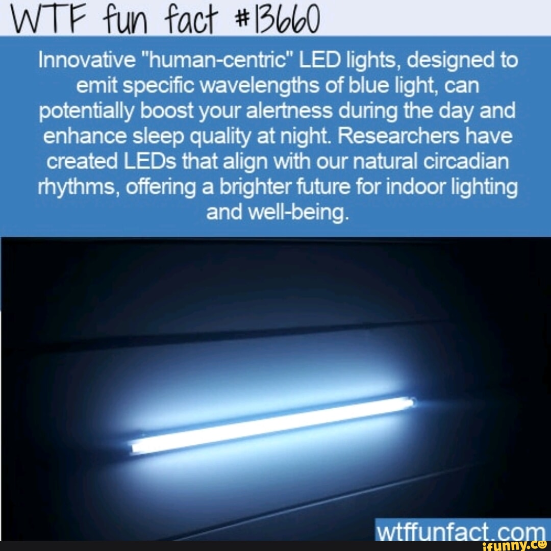 Wavelengths memes. Best Collection of funny Wavelengths pictures on iFunny