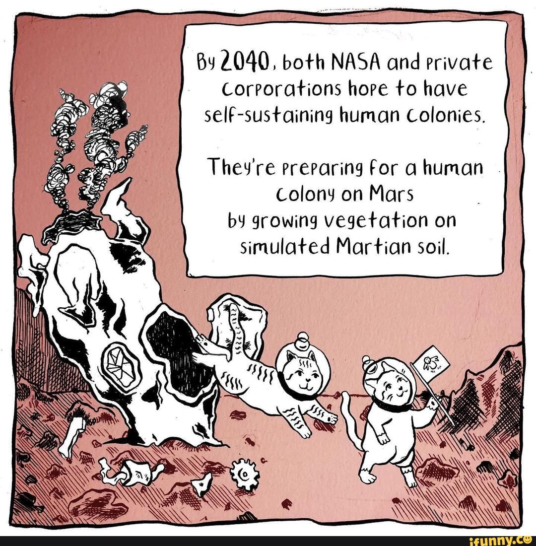 I made a slideshow about recreating the soil on Mars for astrobiology ...