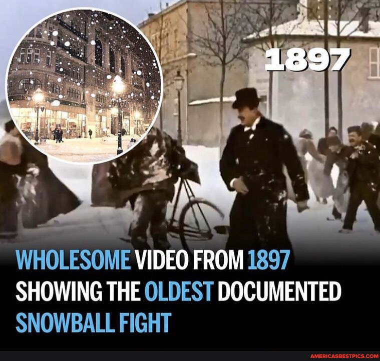 Follow @napoleon_gang_ for more! - - #memes #christmas #snowball # ...