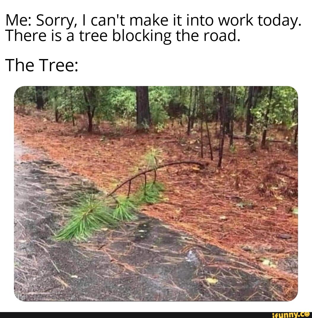 Staycation memes. Best Collection of funny Staycation pictures on iFunny
