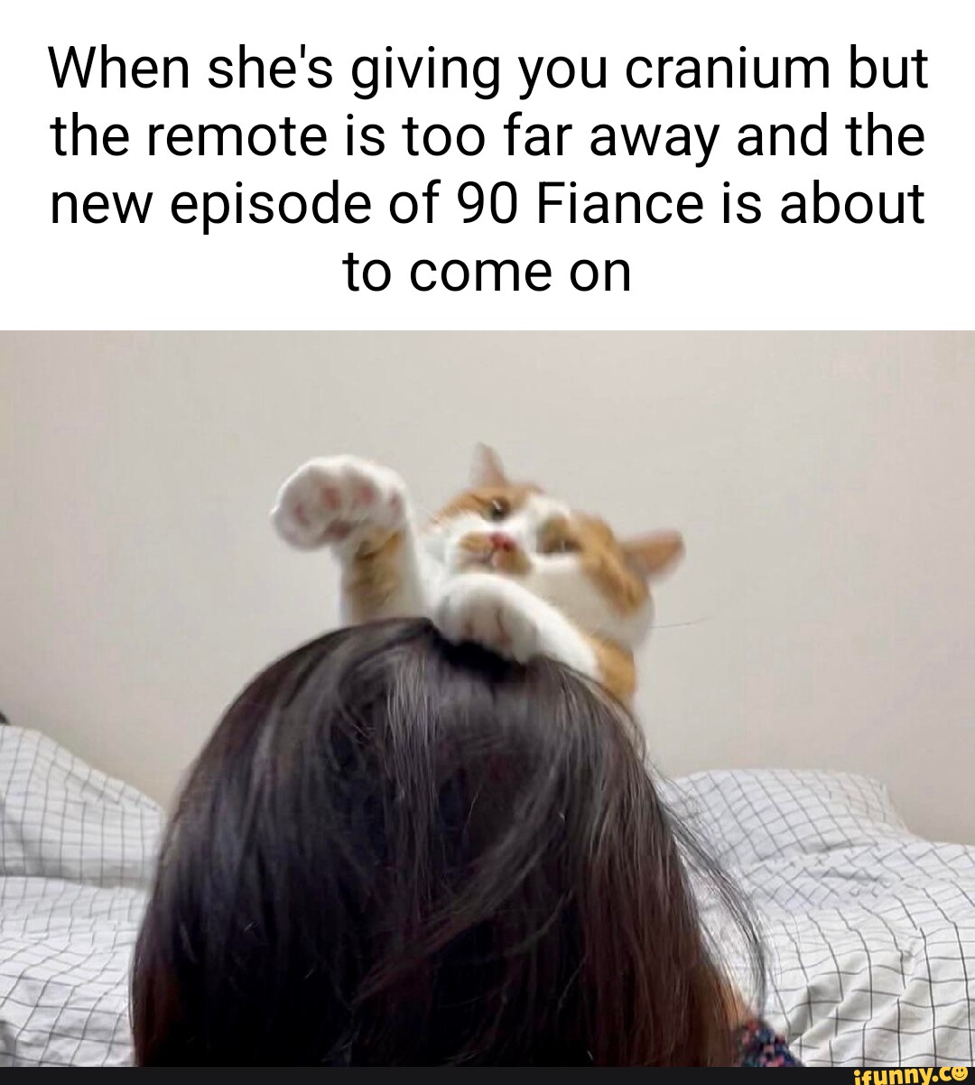 Cranium memes. Best Collection of funny Cranium pictures on iFunny