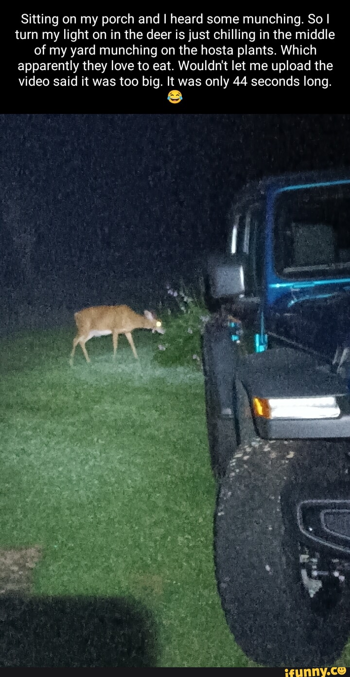 Munching memes. Best Collection of funny Munching pictures on iFunny