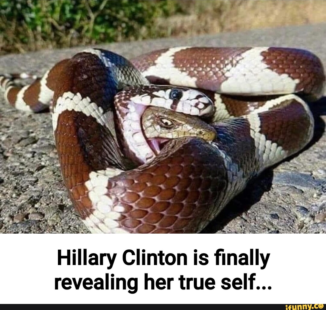 Hillary Clinton is finally revealing her true self... - iFunny Hillary Clinton is finally revealing her true self... - iFunny