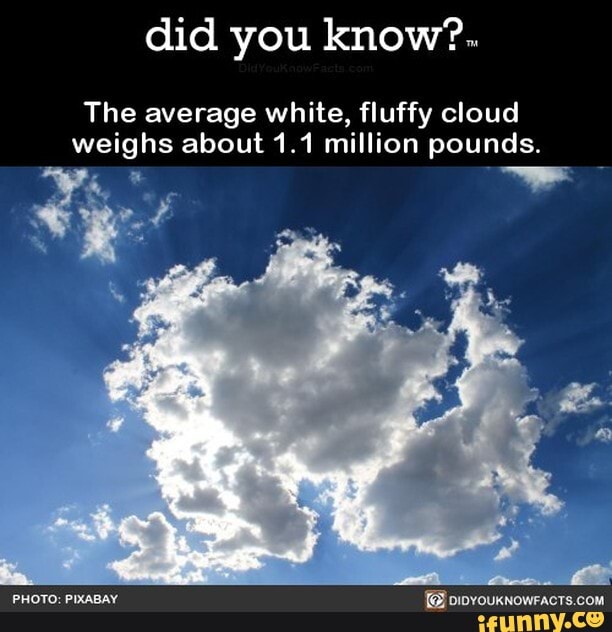 Did you know?. The average white, fluffy cloud weighs about 1.1 million pounds. - iFunny