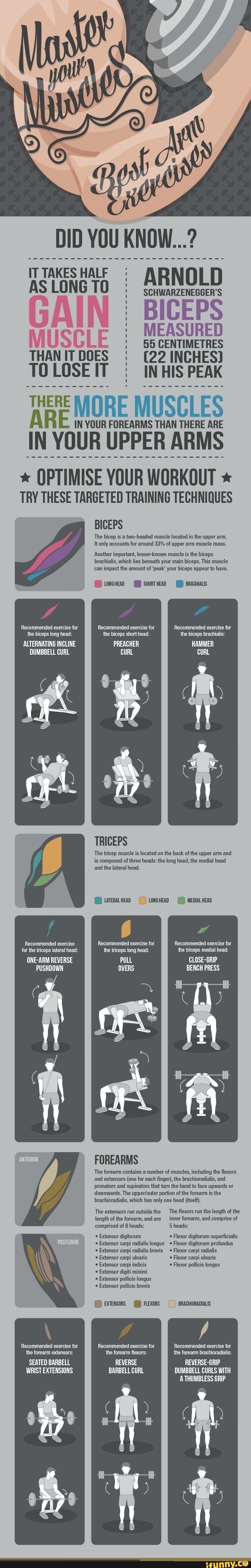 Biceps memes. Best Collection of funny Biceps pictures on iFunny