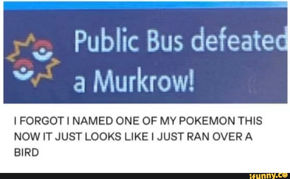 Public Bus defeated Murkrow! I FORGOT I NAMED ONE OF MY POKEMON THIS ...