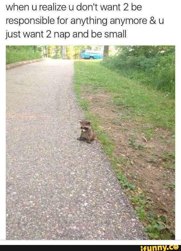 Smol memes. Best Collection of funny Smol pictures on iFunny