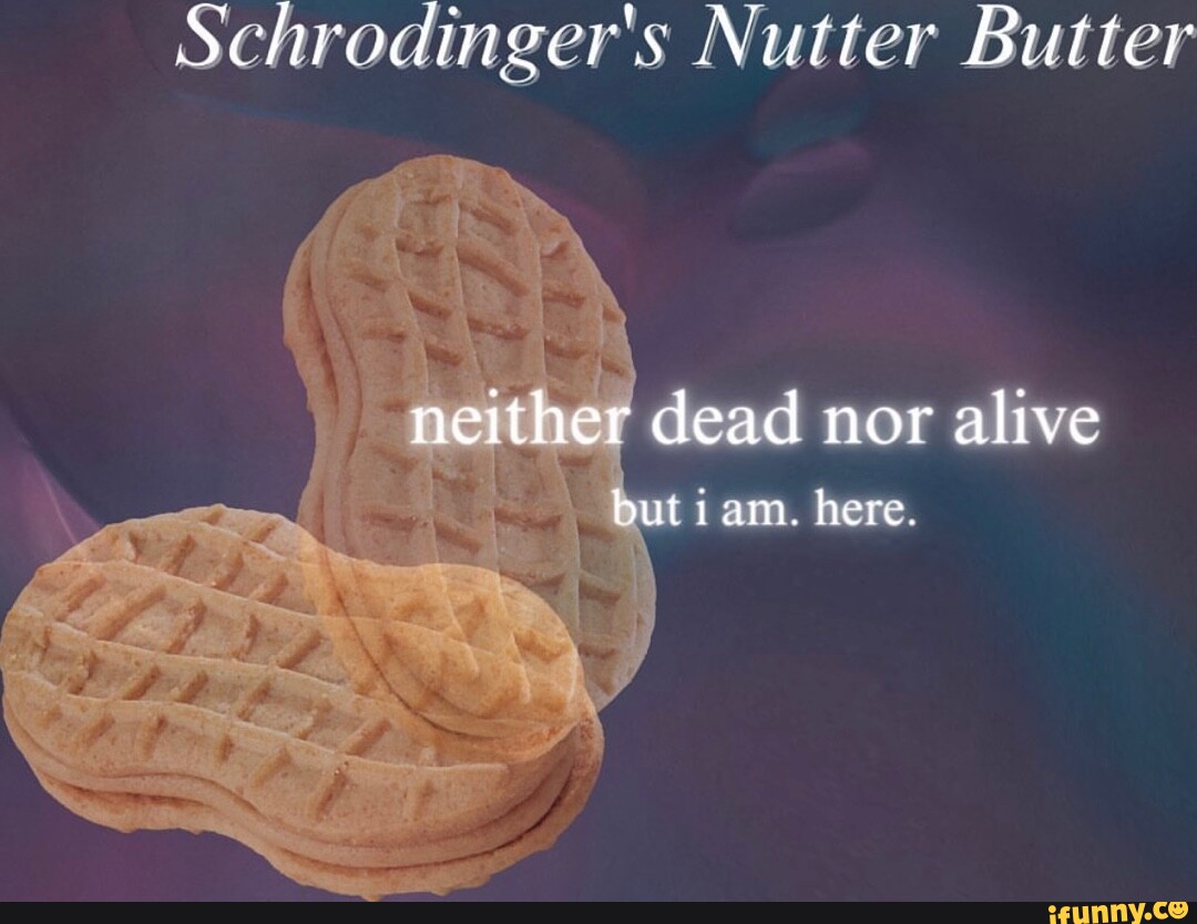 Nutter memes. Best Collection of funny Nutter pictures on iFunny