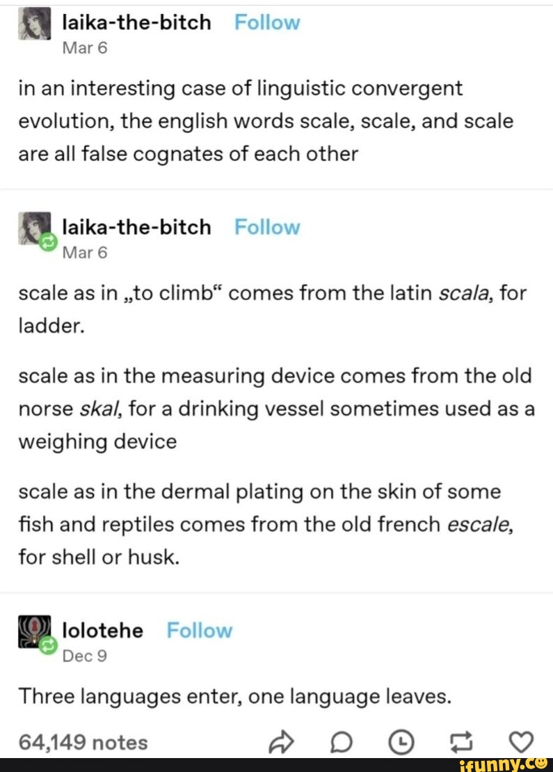 Scala memes. Best Collection of funny Scala pictures on iFunny