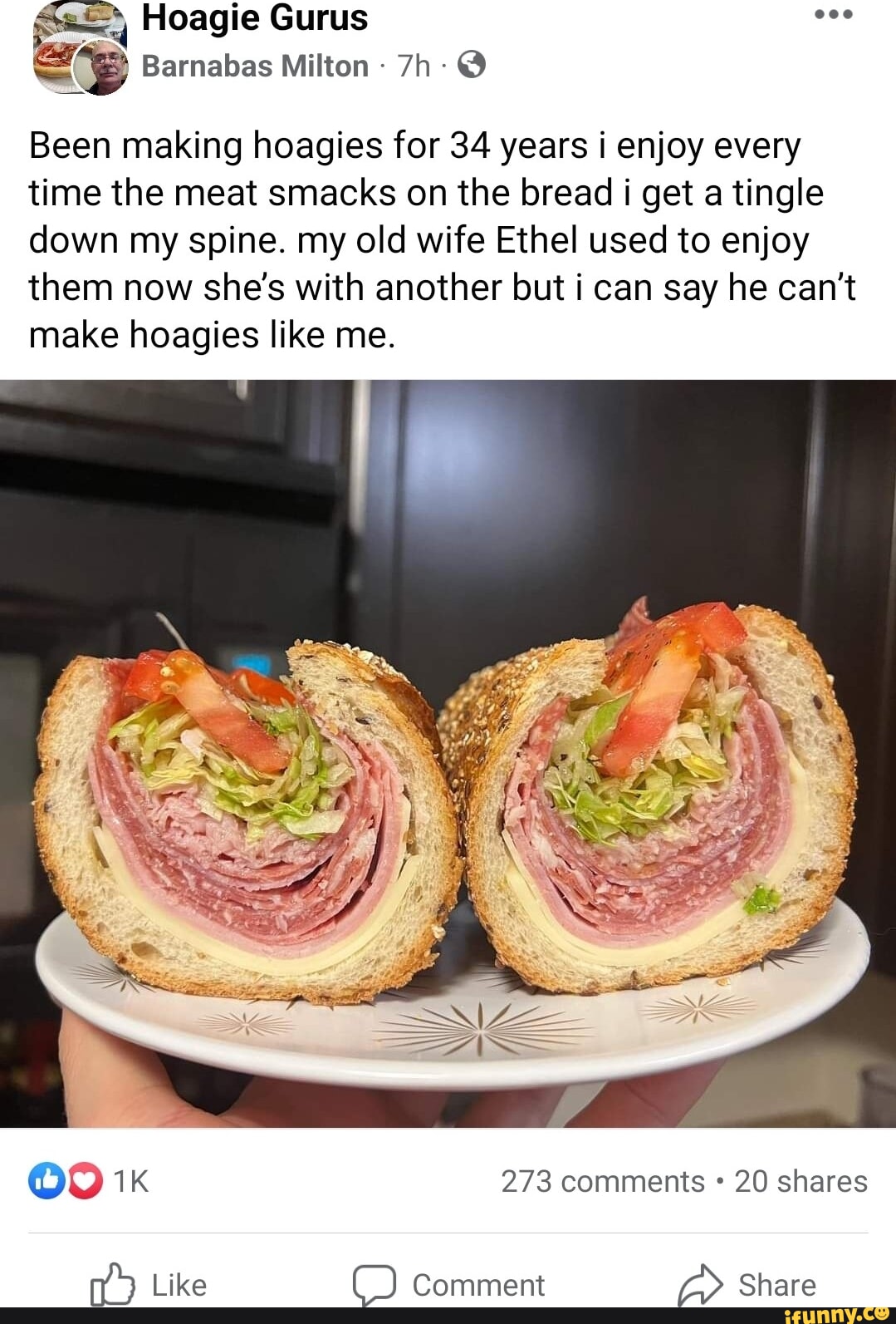 Hoagies memes. Best Collection of funny Hoagies pictures on iFunny