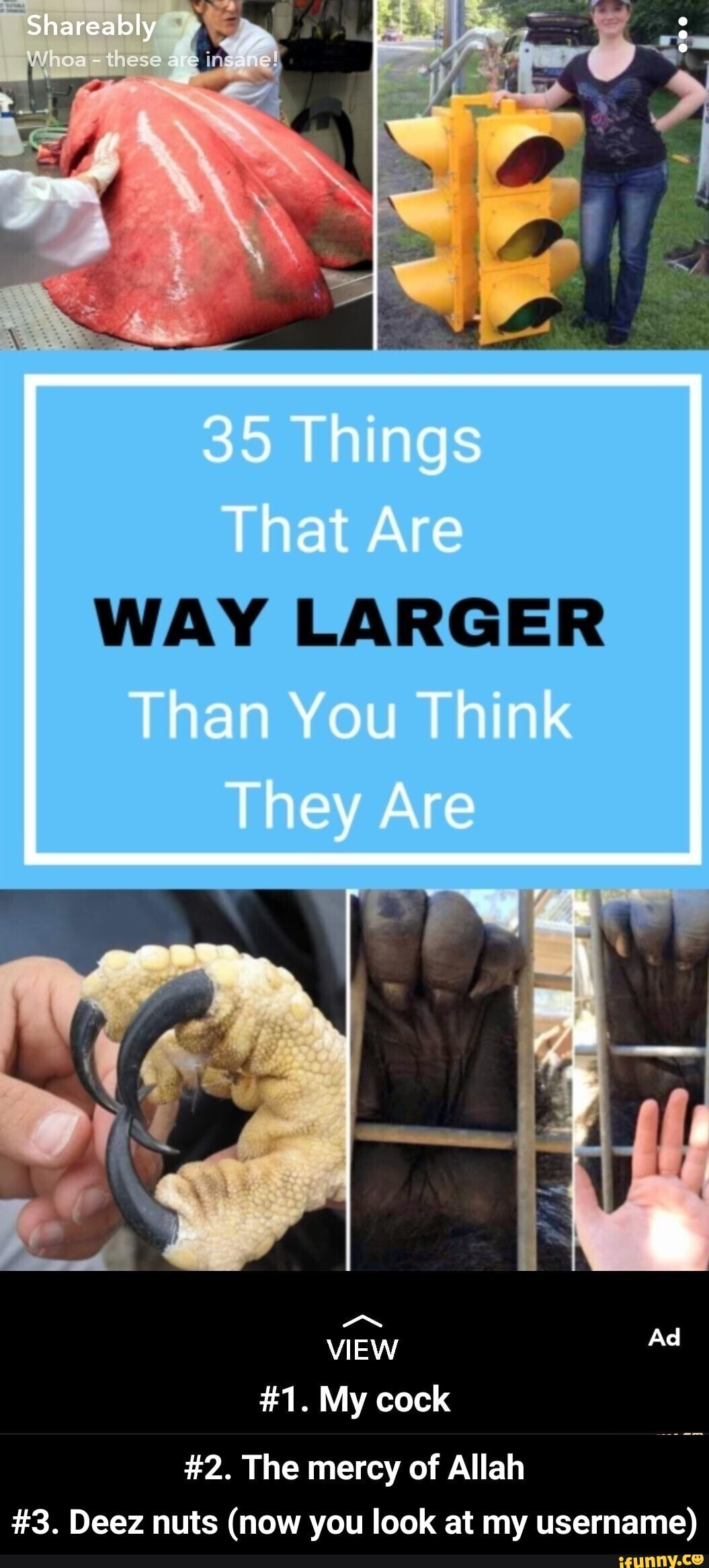 WAY LARGER VIEW - #3. Deez nuts (now you look at my username) - iFunny