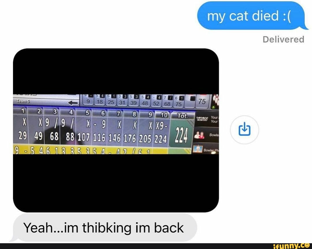My cat died Delivered AD Yeah...im thibking im back - iFunny