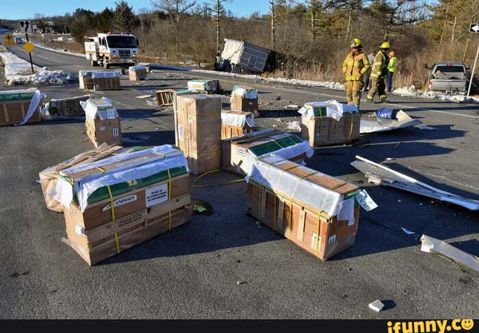 Lab_monkeys memes. Best Collection of funny Lab_monkeys pictures on iFunny