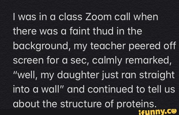 Was ina class Zoom call when there was a faint thud in the background ...