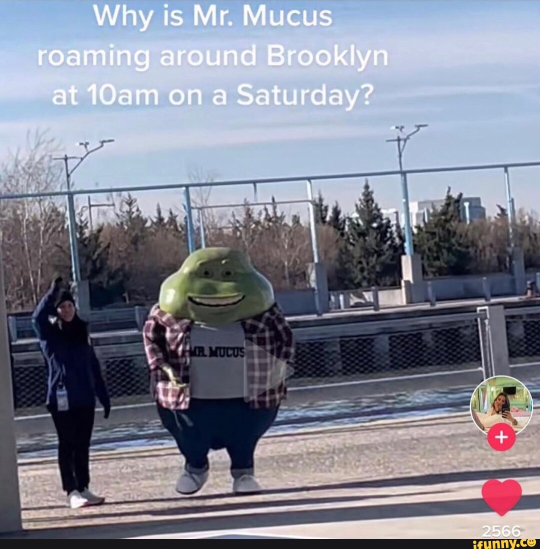 Why is Mr. Mucus roaming around Brooklyn at 10am on a Saturday? 2566 ...