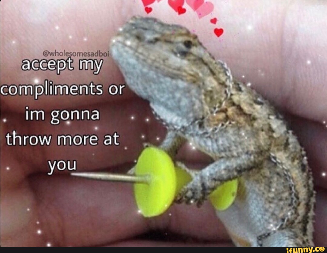 Makeout memes. Best Collection of funny Makeout pictures on iFunny