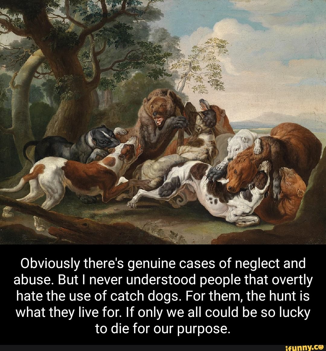 Neglect memes. Best Collection of funny Neglect pictures on iFunny