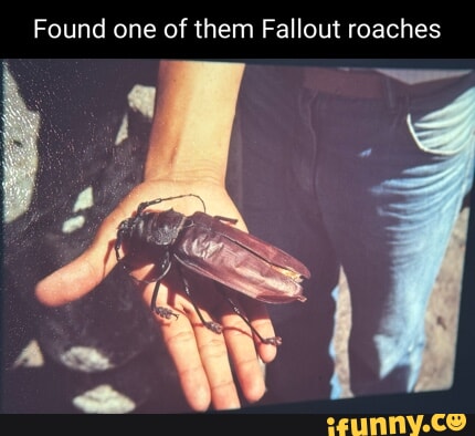 Found one of them Fallout roaches - iFunny