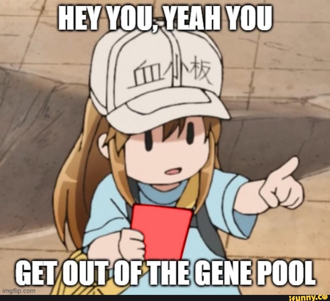 HEY YOU, YEAH YOU GET OUT OF THE GENE POOL - iFunny