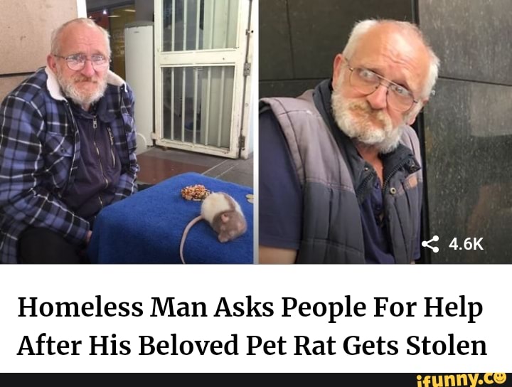 Homeless Man Asks People For Help After His Beloved Pet Rat Gets Stolen ...