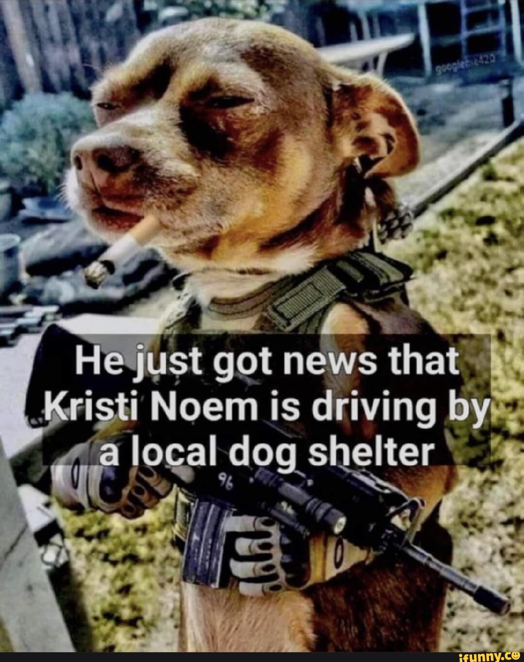 Noem memes. Best Collection of funny Noem pictures on iFunny