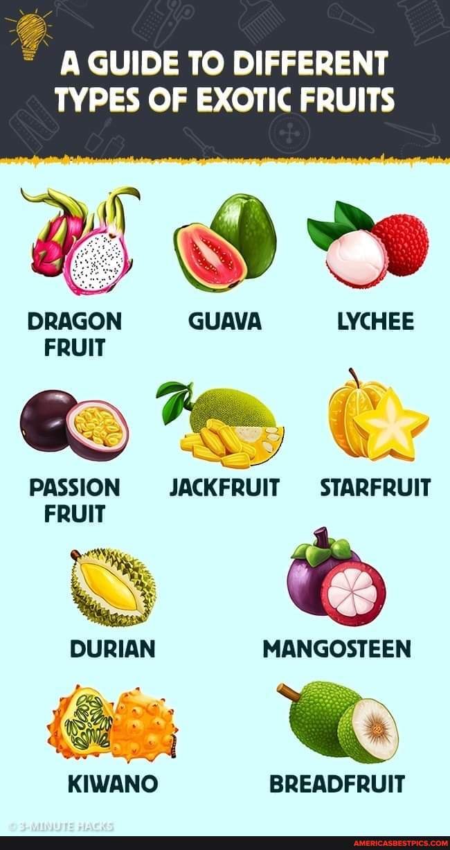 A guide to different types of exotic fruits. - GUIDE TO DIFFERENT TYPES ...