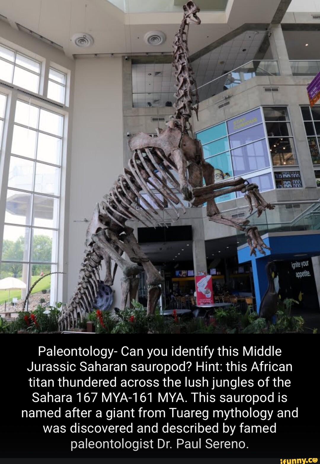 Paleontology- Can you identify this Middle Jurassic Saharan sauropod ...
