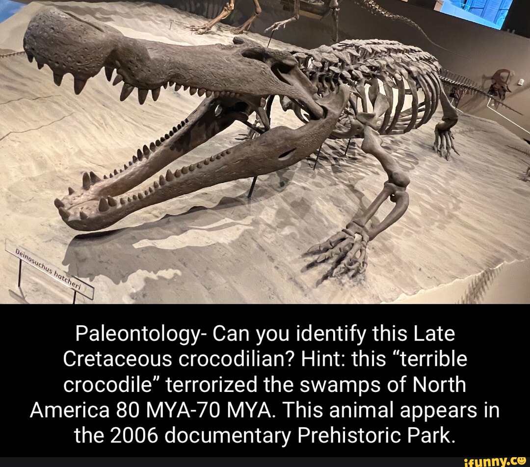 Paleontology- Can you identify this Late Cretaceous crocodilian? Hint ...