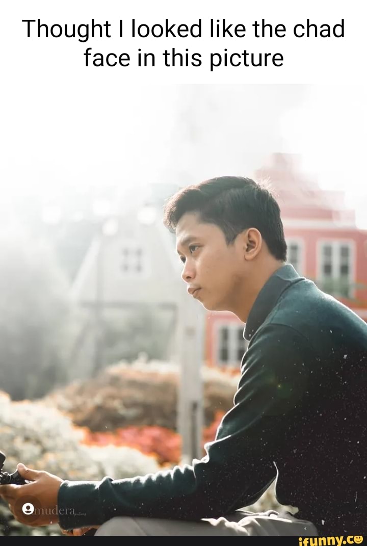 Thought I looked like the chad face in this picture - iFunny