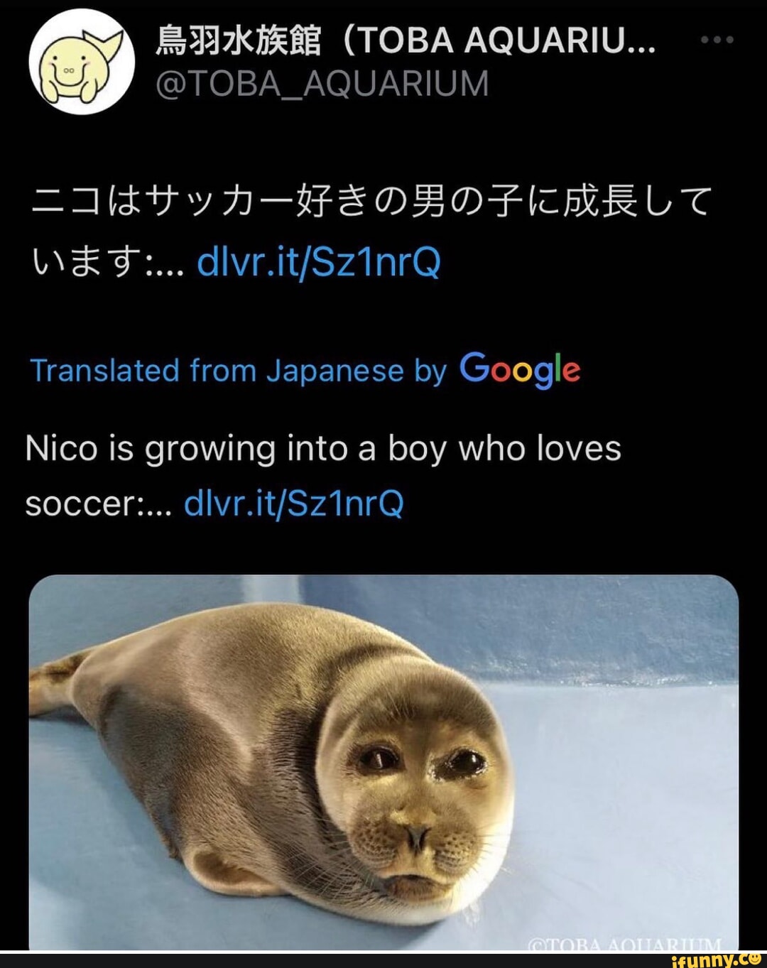 Nico memes. Best Collection of funny Nico pictures on iFunny