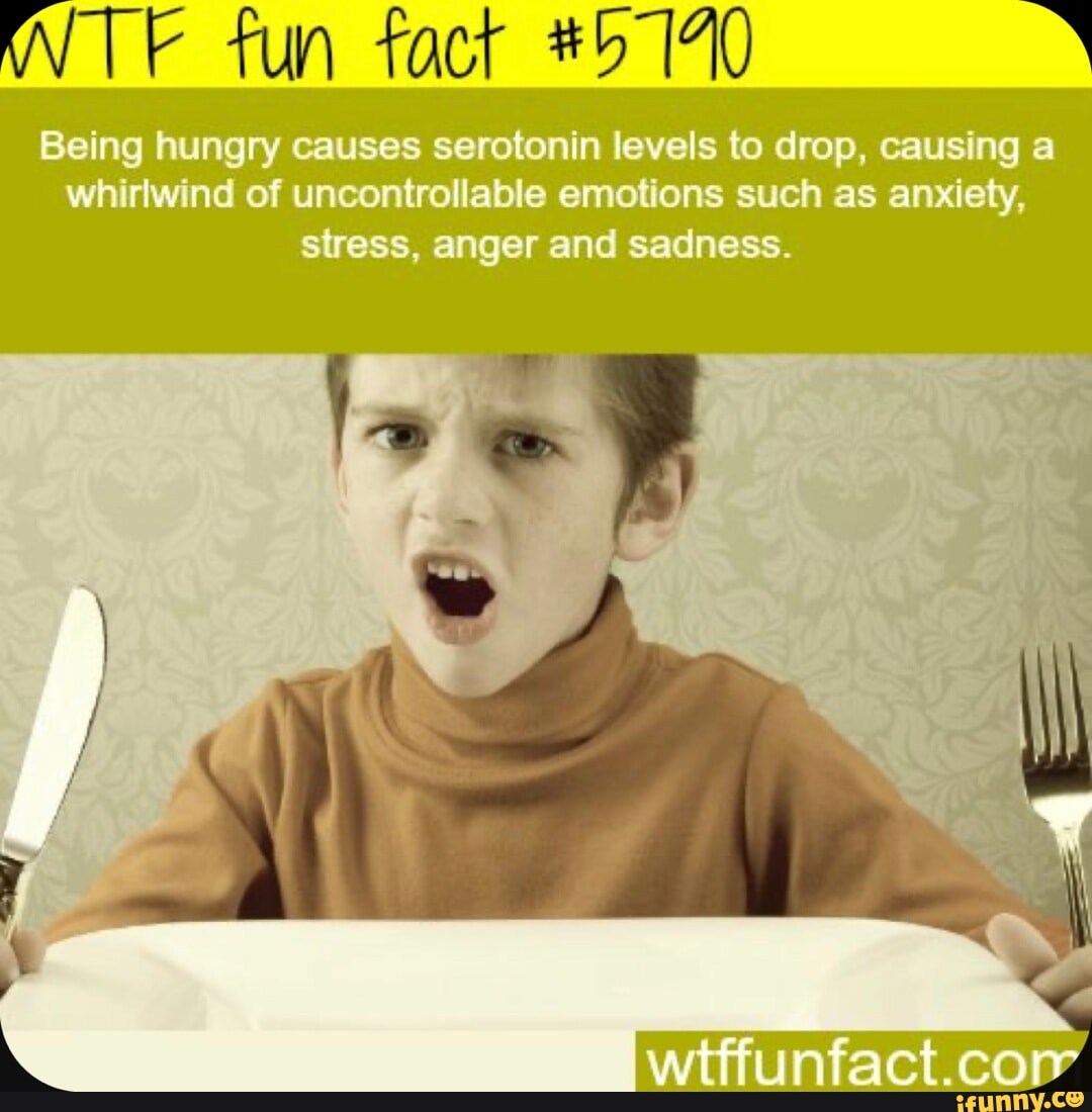 Whirlwind memes. Best Collection of funny Whirlwind pictures on iFunny