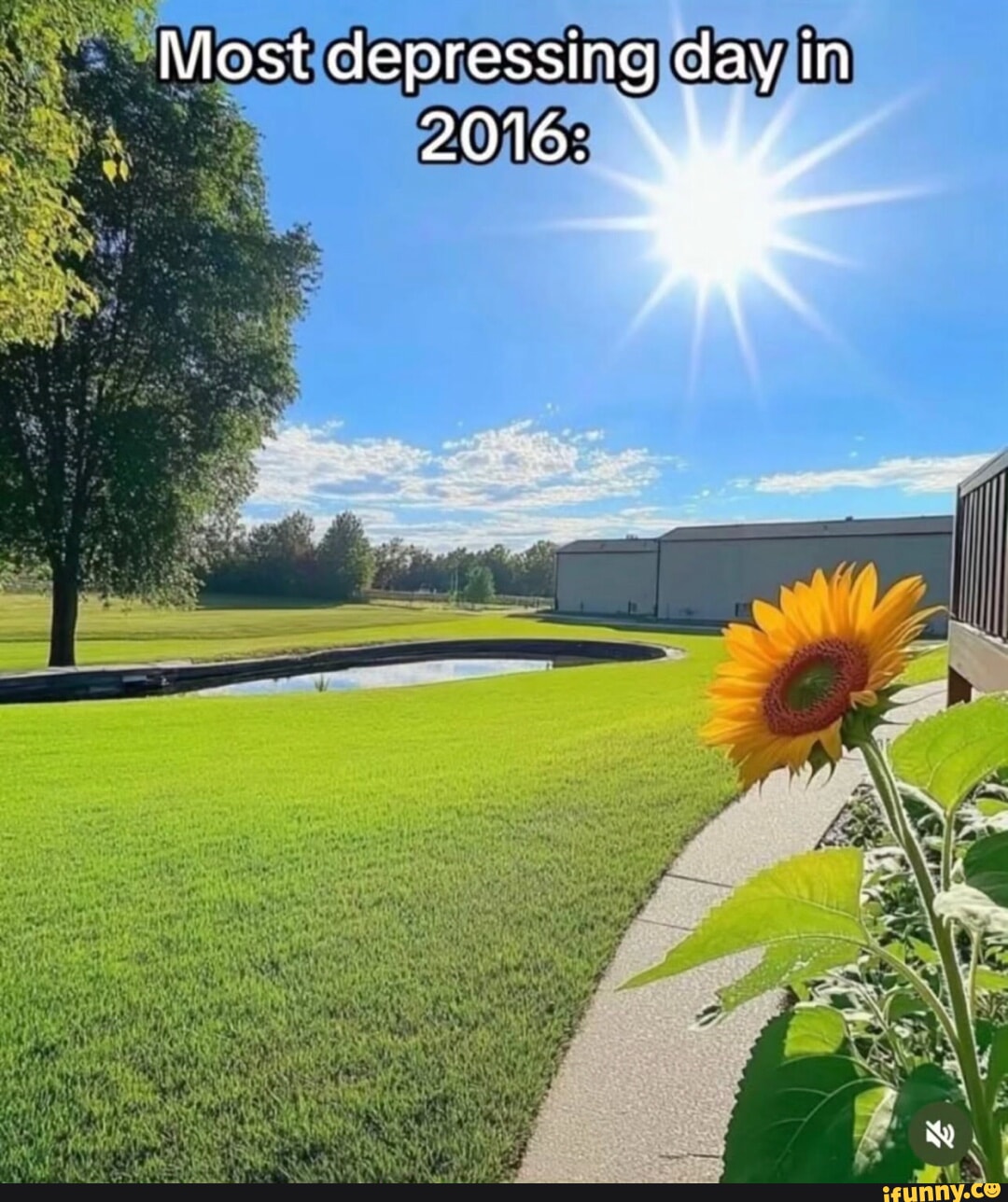 Sunshine memes. Best Collection of funny Sunshine pictures on iFunny