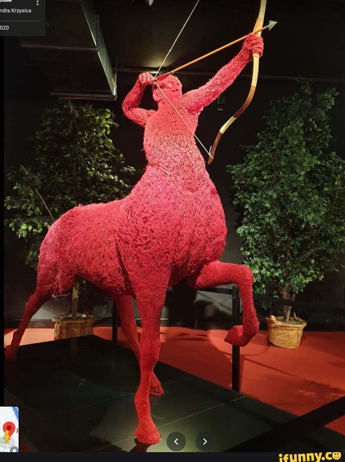 Plastified memes. Best Collection of funny Plastified pictures on iFunny