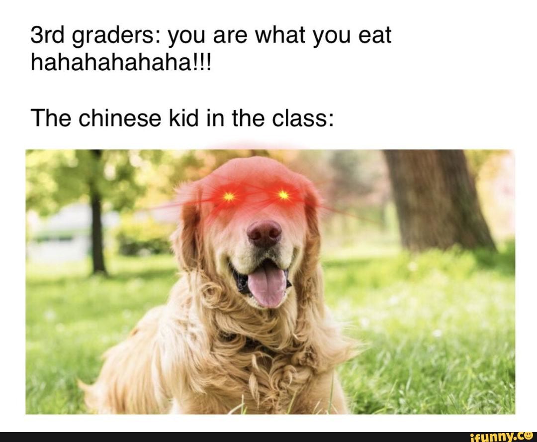 3rd graders: you are what you eat hahahahahaha”! The chinese kid in the ...