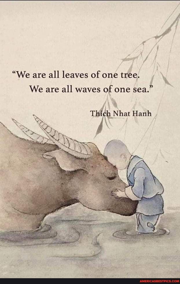 "We are all leaves of one tree. , We are all waves of one sea. Hanh ...