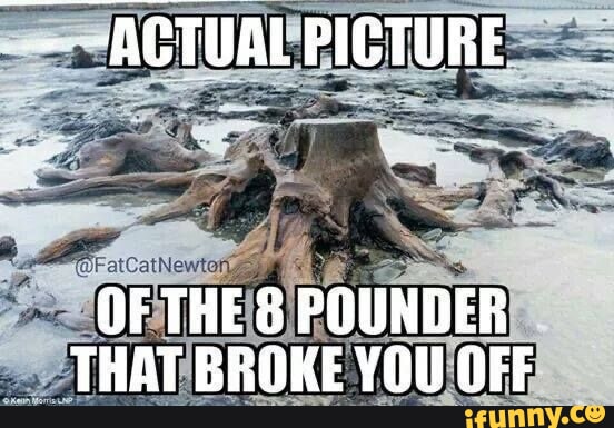 ~ 'ACTUAL PICTURE OF THE 8 POUNDER THAT BROKE YOU OFF - iFunny