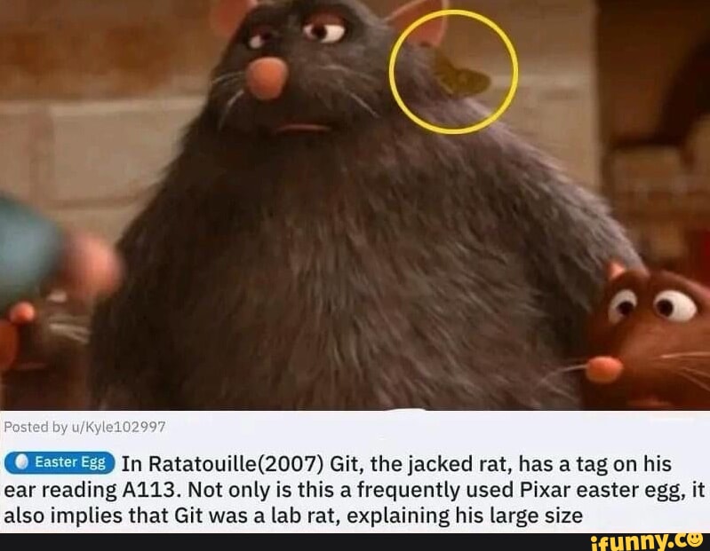 Posted by In Git, the jacked rat, has a tag on his ear reading A113 ...