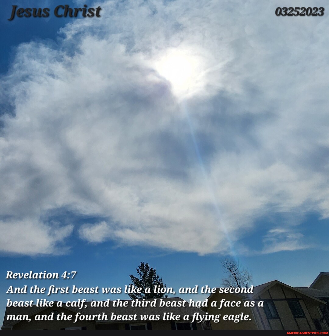 Revelation And the first beast was like lion, and the second beast like ...