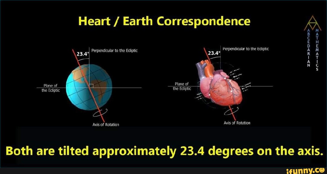 Perpendicular memes. Best Collection of funny Perpendicular pictures on ...