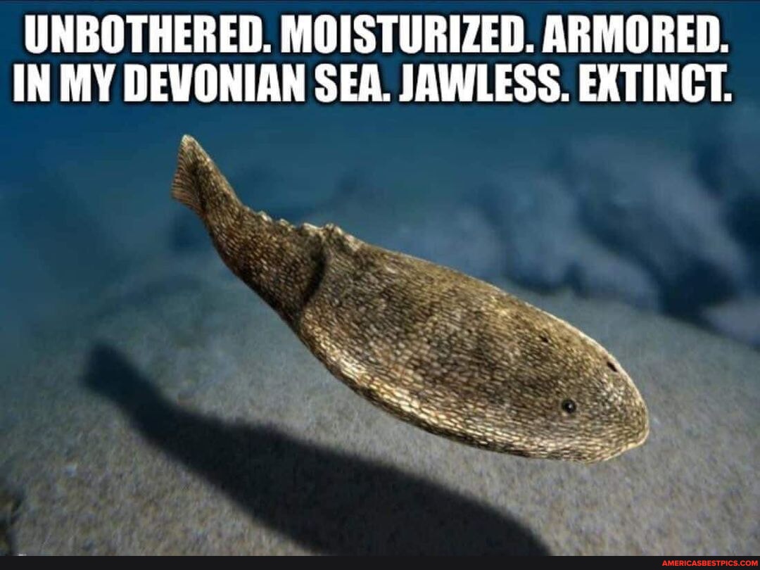 🐟 Happy Fossil Friday! Meme by @silvarette - UNBOTHERED. MOISTURIZED ...